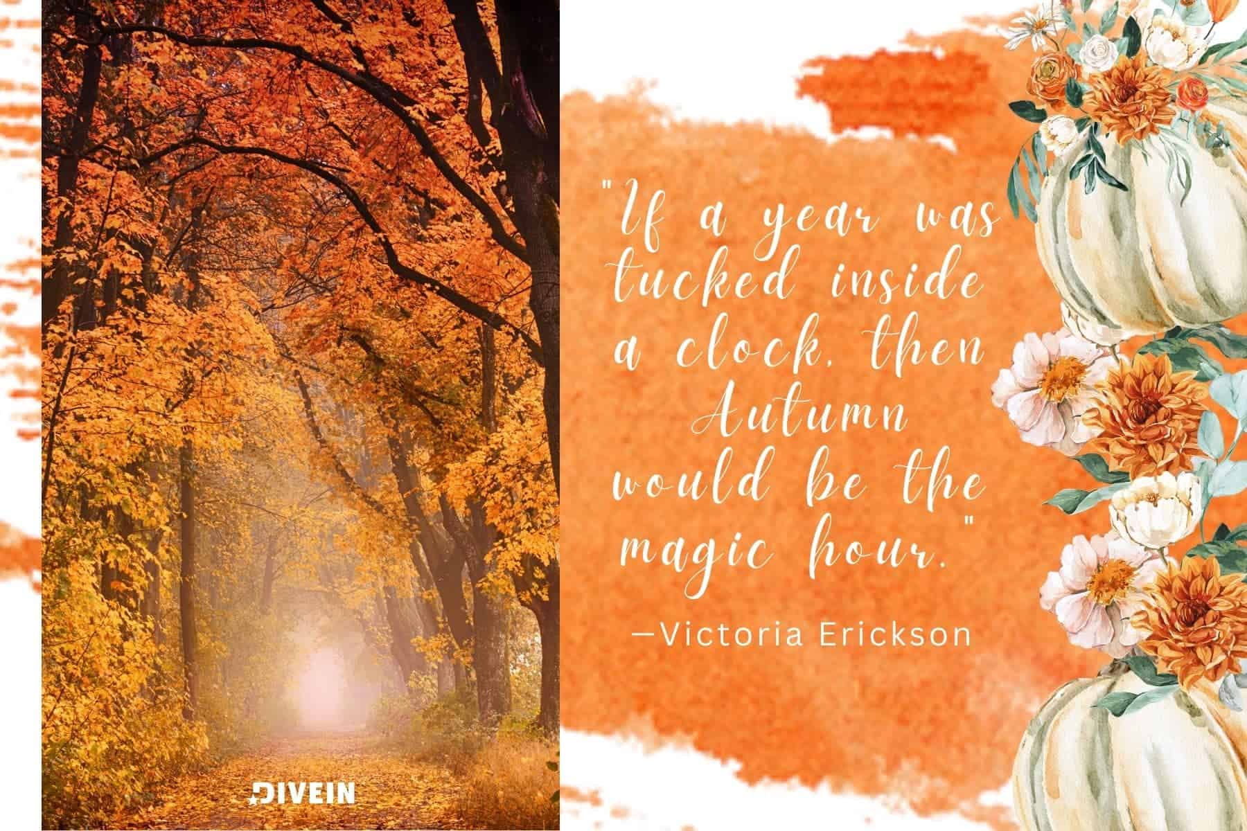 fall captions for guys