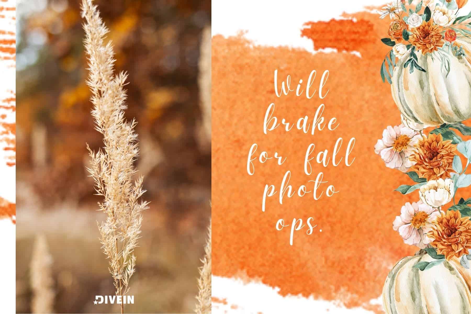 fall captions for guys