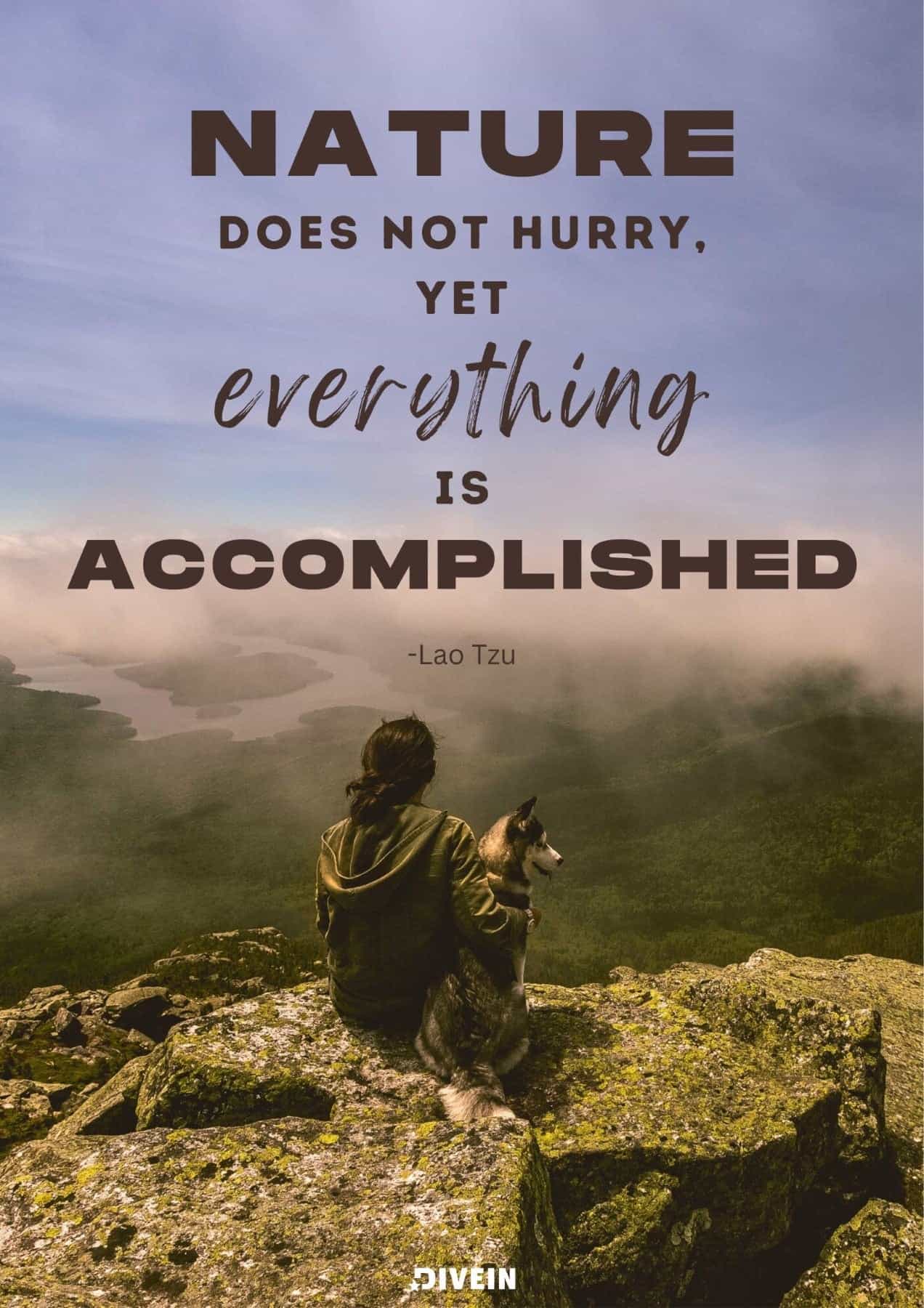 nature view captions